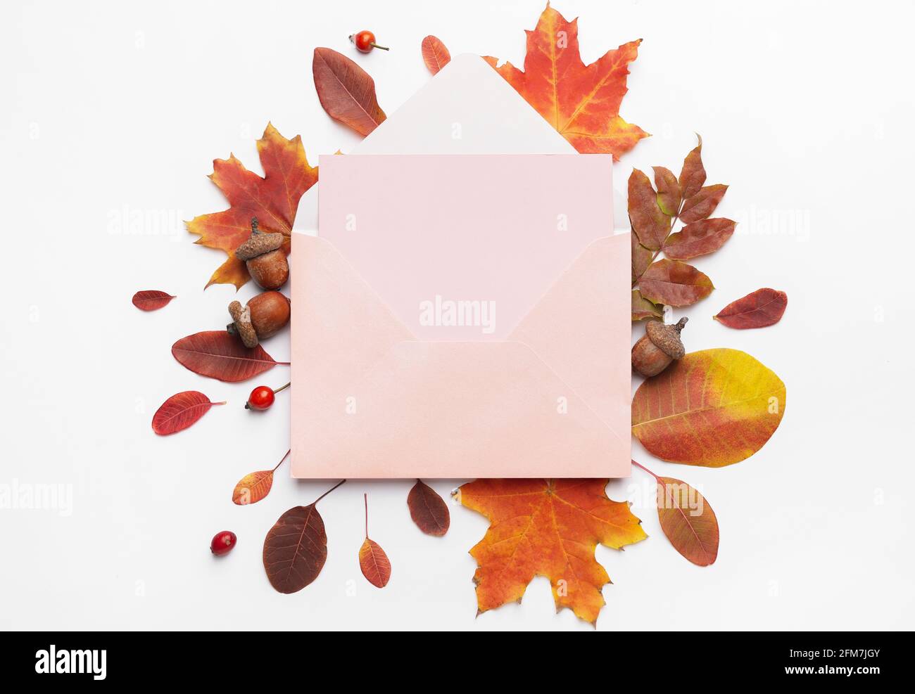 Envelope and autumn leaves on white background Stock Photo - Alamy