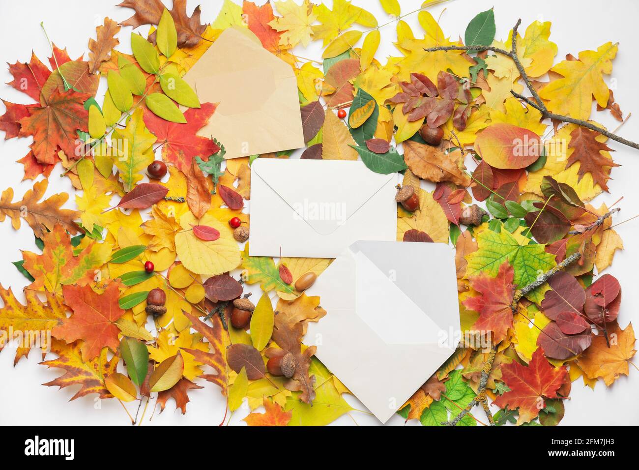 Envelopes and autumn leaves on white background Stock Photo - Alamy