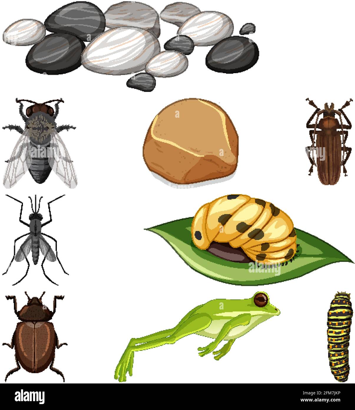 Different types of insect with nature elements illustration Stock ...