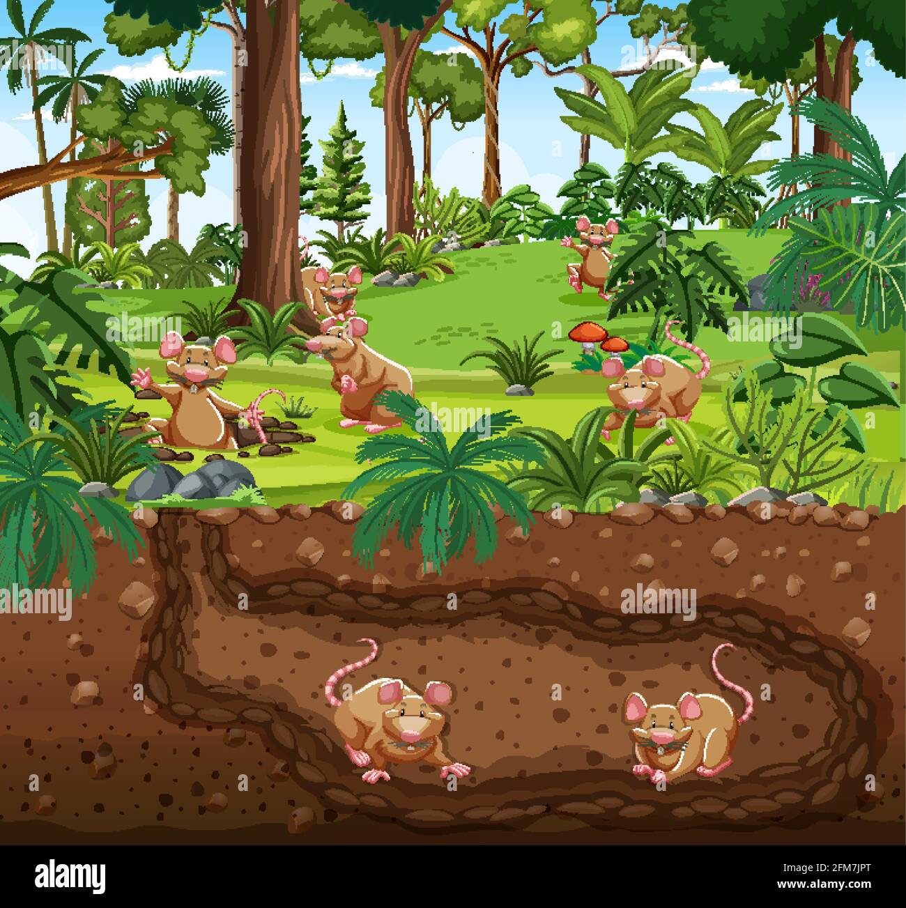 Underground animal burrow with rat family illustration Stock Vector ...