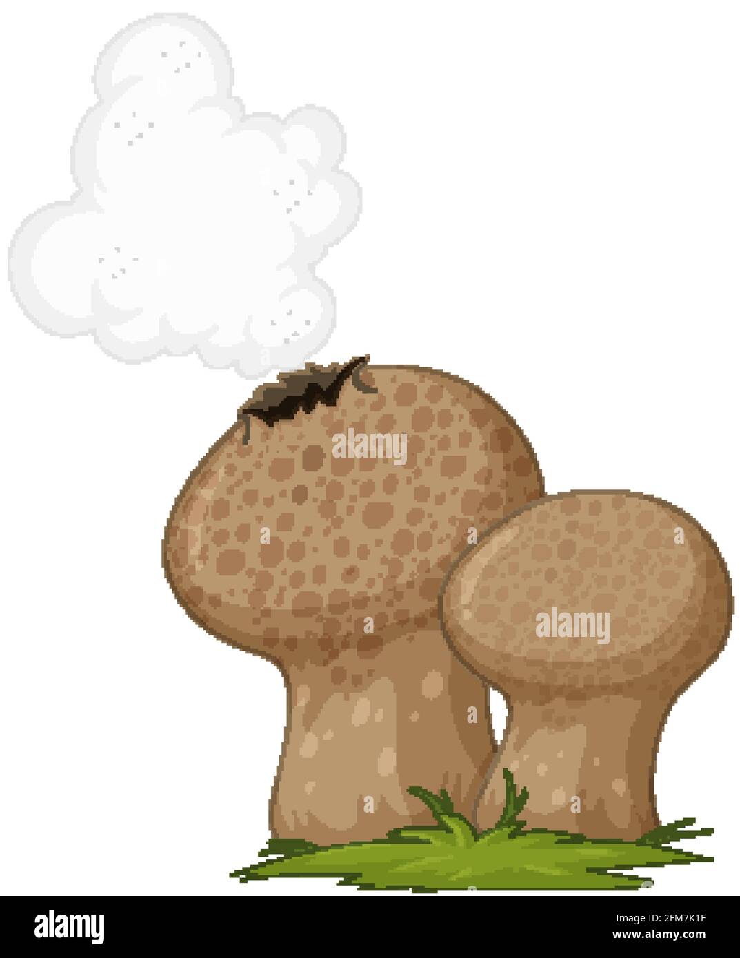 Fungus cartoon style isolated on white background illustration Stock ...