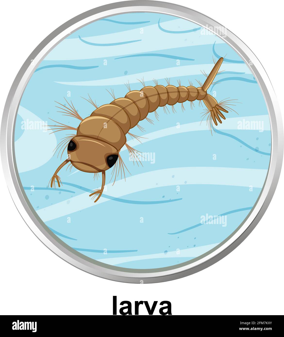 Top view of larva mosquito on white background illustration Stock ...