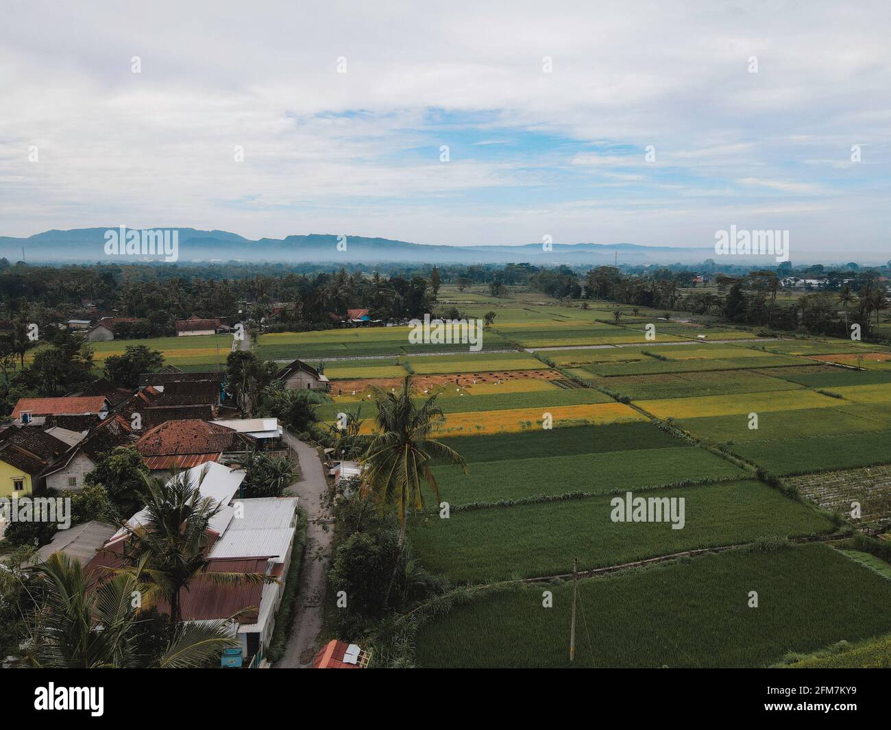 Aerial View of indonesia traditional village and Rice Field Stock Photo ...