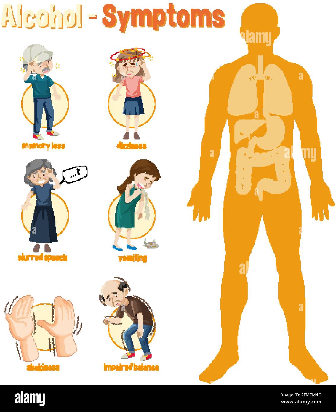 Effects of alcohol information infographic illustration Stock Vector ...