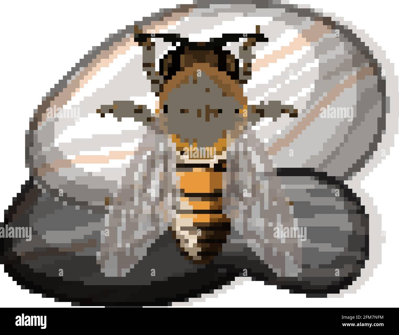 Top view of bee on a stone on white background illustration Stock ...