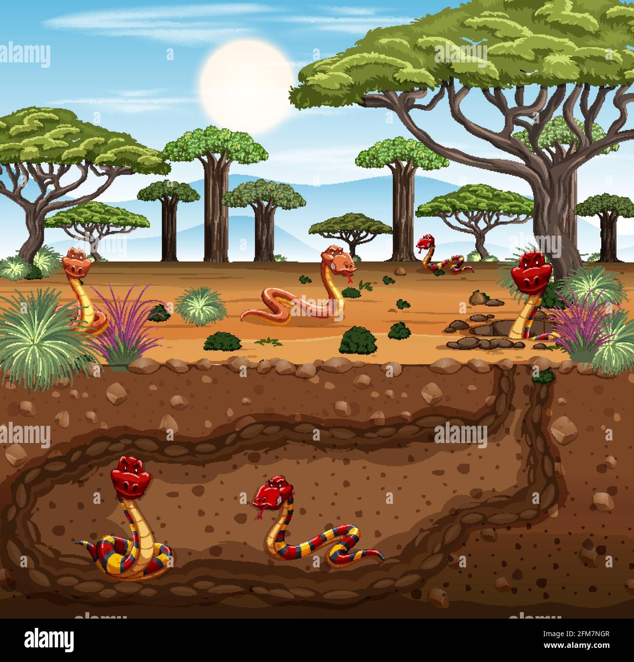 Underground animal burrow with snake family illustration Stock Vector Image & Art - Alamy
