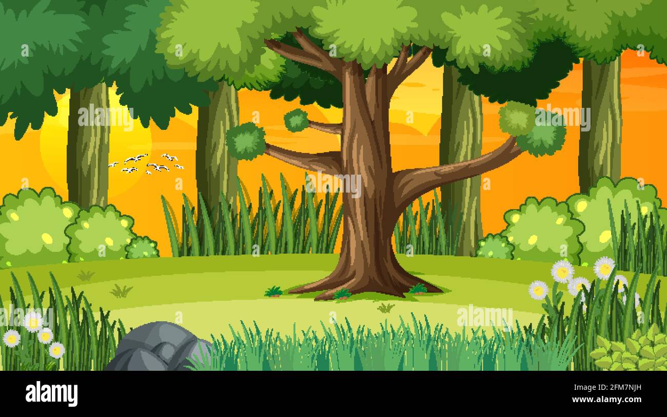 Forest landscape scene at sunset time illustration Stock Vector Image ...