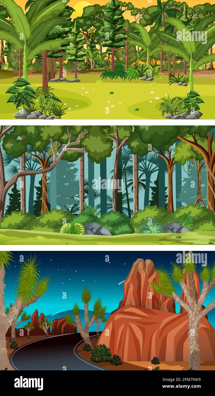 Set of different forest horizontal scenes in different times ...