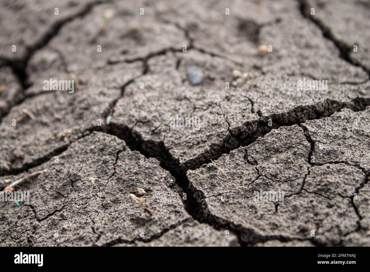 Deep cracks in the ground. The dry ground cracked. Black soil with deep ...