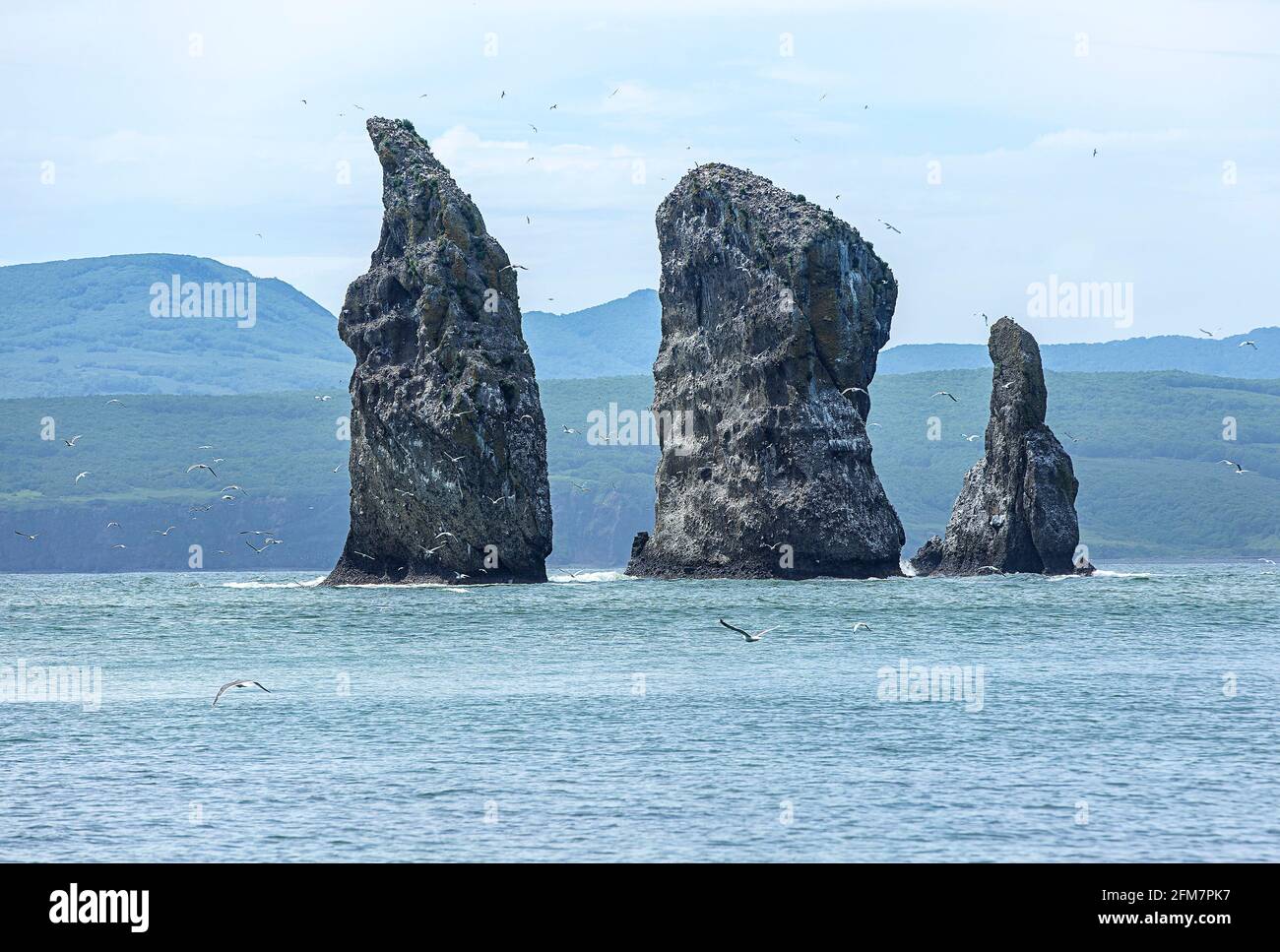Flock birds flying over sea rocks hi-res stock photography and images ...