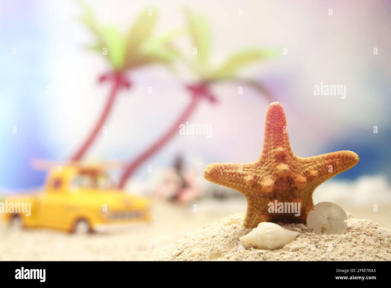 Seashell on Tropical Beach With Vintage Hot Rod in Background Stock ...