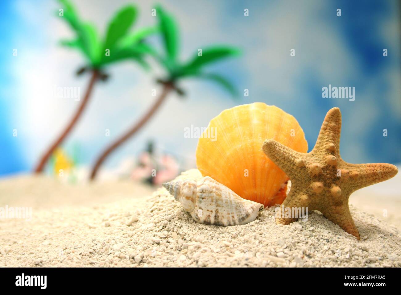 Seashell on Tropical Beach With Palm Trees in Background Stock Photo ...
