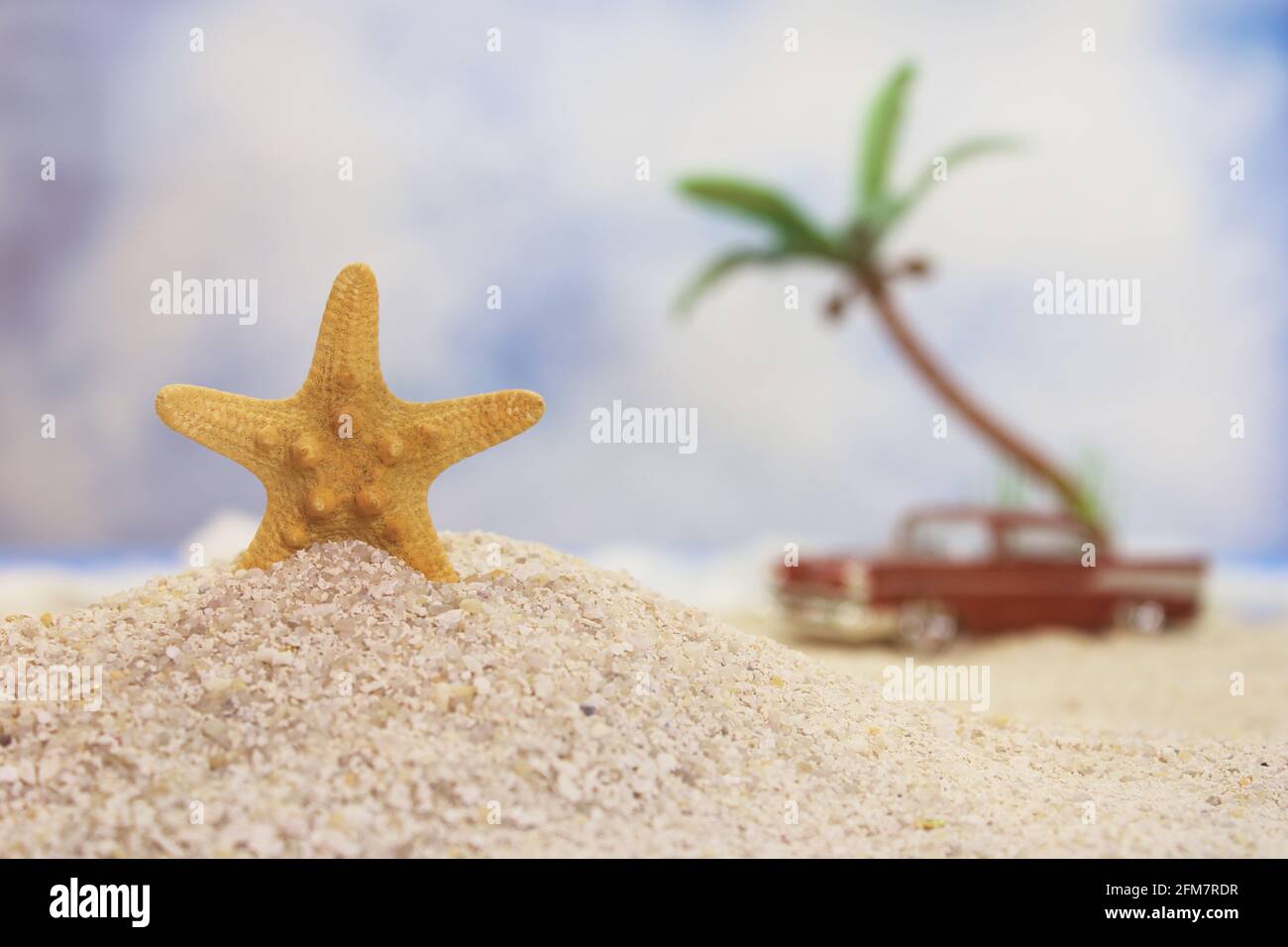 Seashell on Tropical Beach With Vintage Hot Rod in Background Stock ...