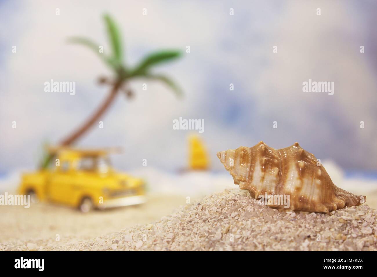 Seashell on Tropical Beach With Vintage Hot Rod in Background Stock ...