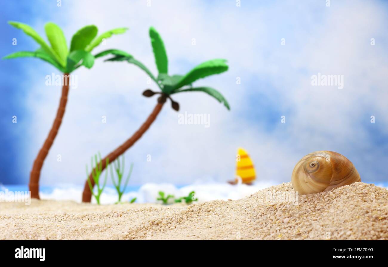 Seashell on Tropical Beach Stock Photo - Alamy