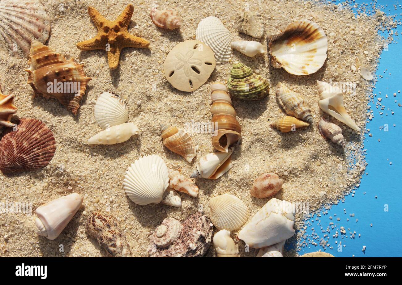 Boardwalk texture hi-res stock photography and images - Alamy