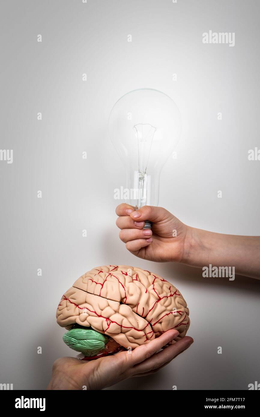 Skills and Knowledge concept. Light bulb and brain model on a light ...