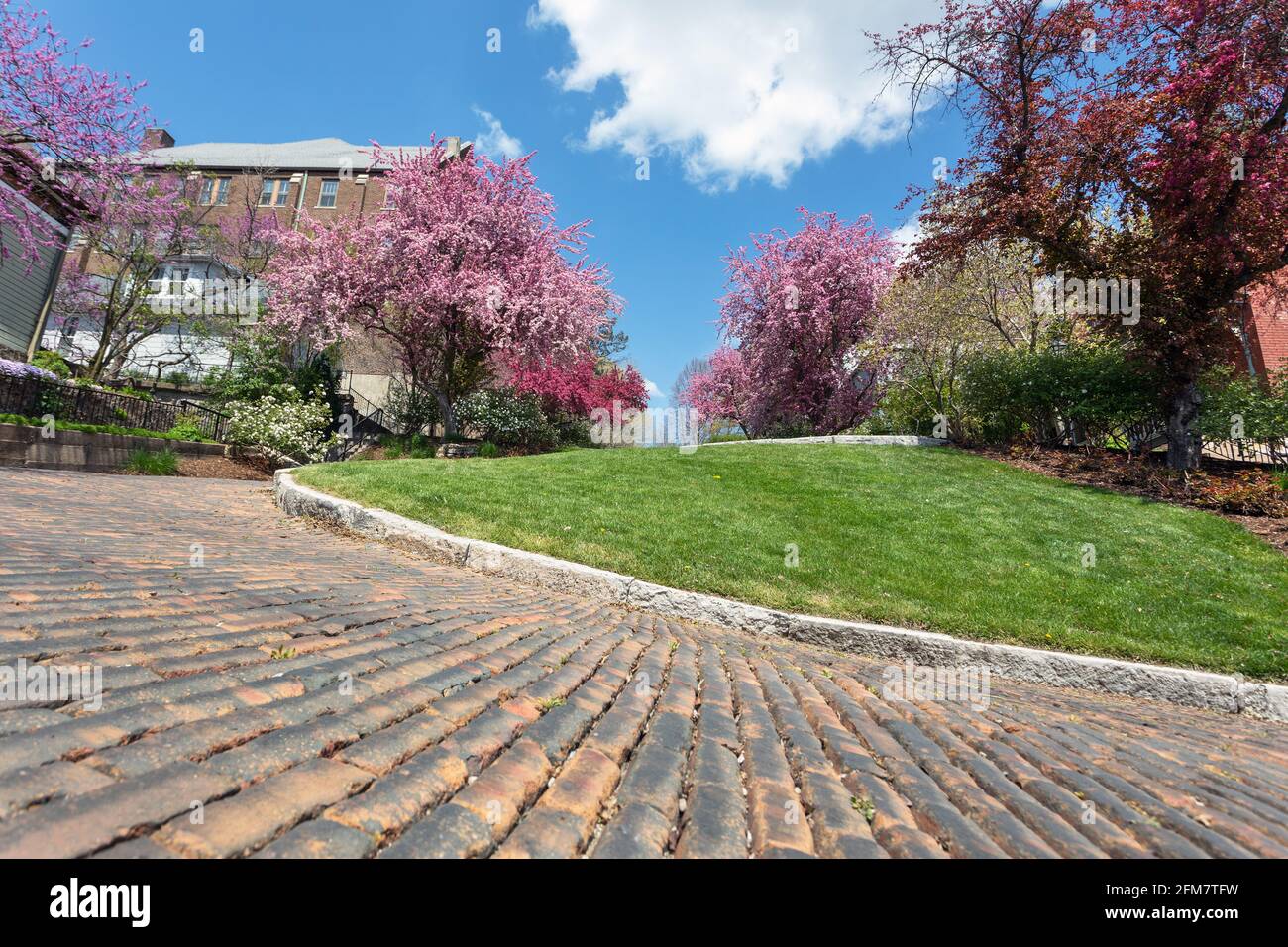 Snake alley hi-res stock photography and images - Alamy
