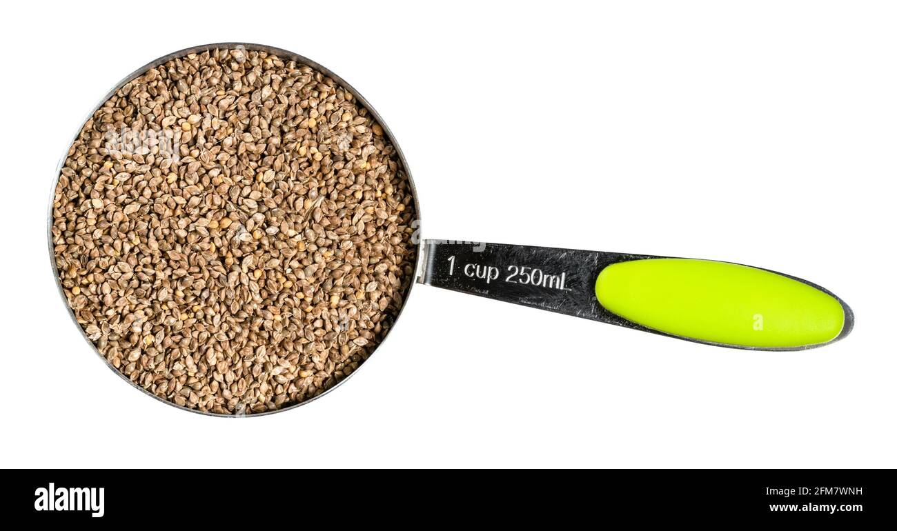 top view of unhulled barnyard millet seeds in measuring cup cutout on ...