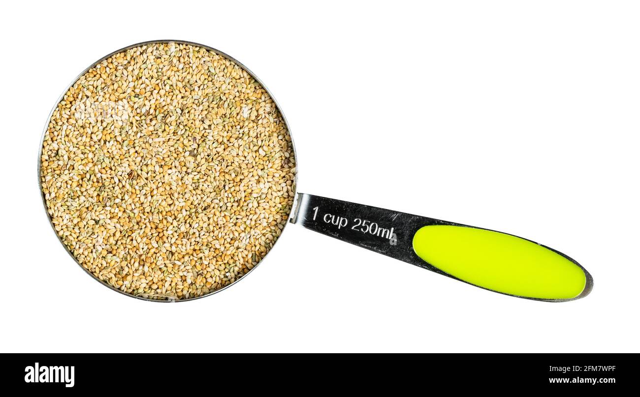 top view of unhulled foxtail millet seeds in measuring cup cutout on ...