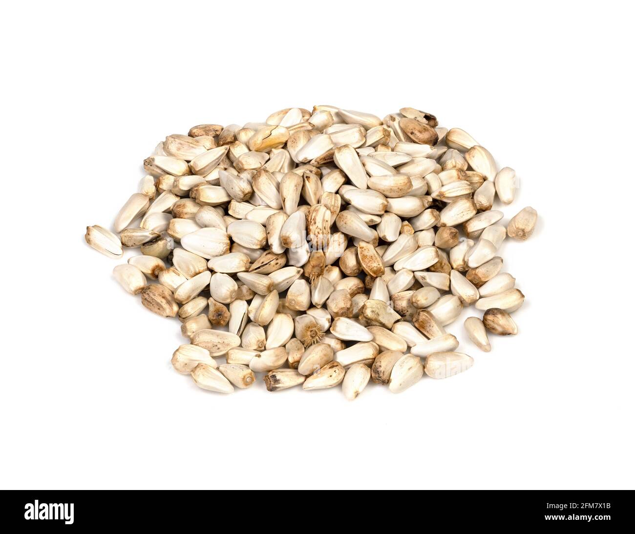 handful of Safflower seeds closeup on white background Stock Photo - Alamy