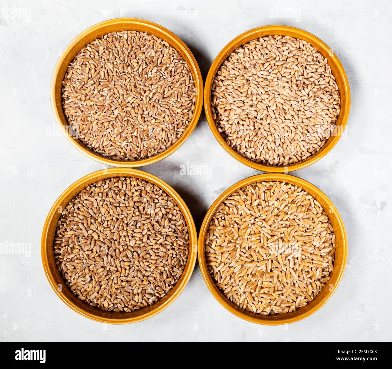 top view of various hulled wheat grains (emmer, common wheat, spelt ...