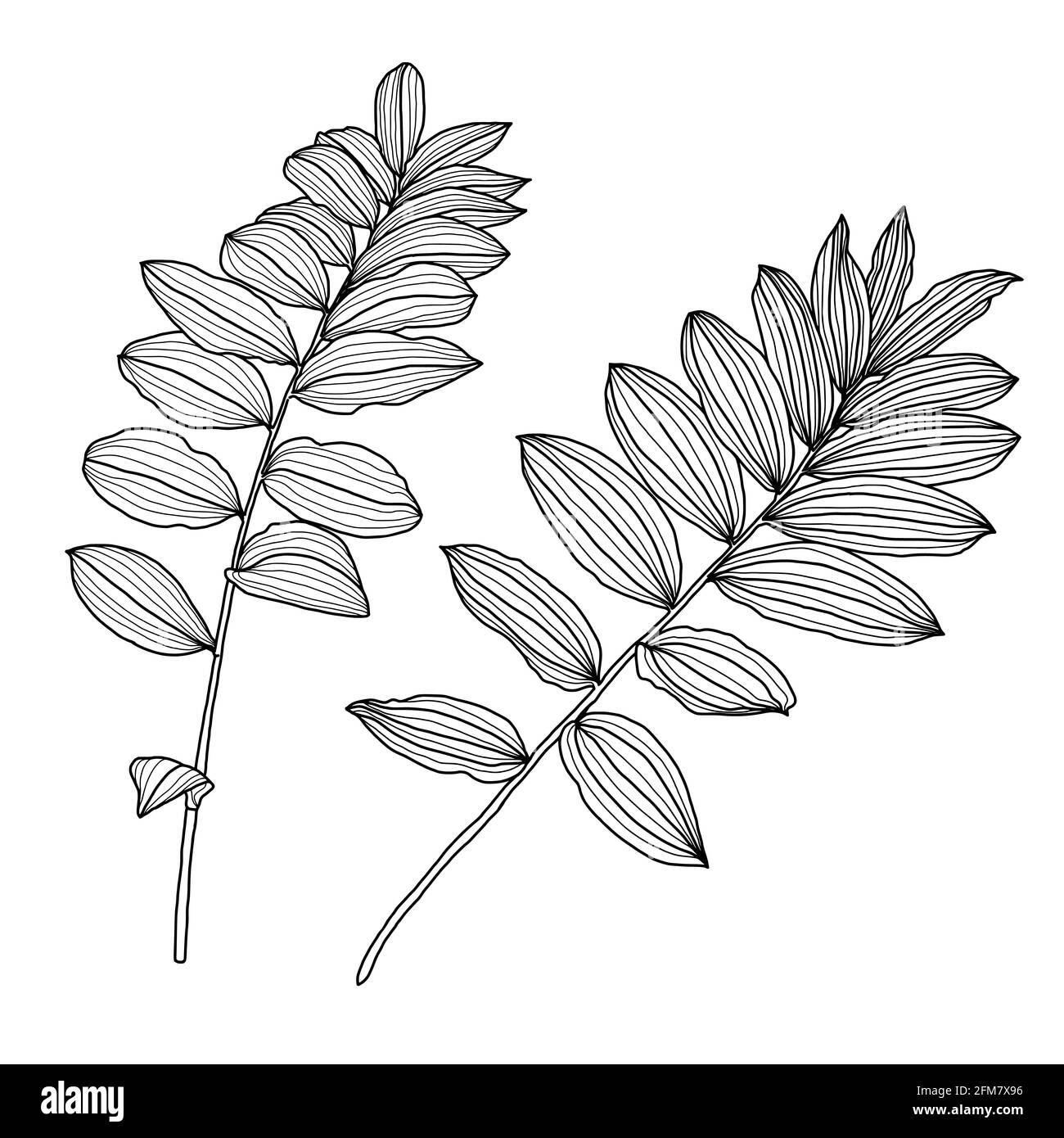 Vector banners in realistic Cut Out Stock Images & Pictures - Alamy