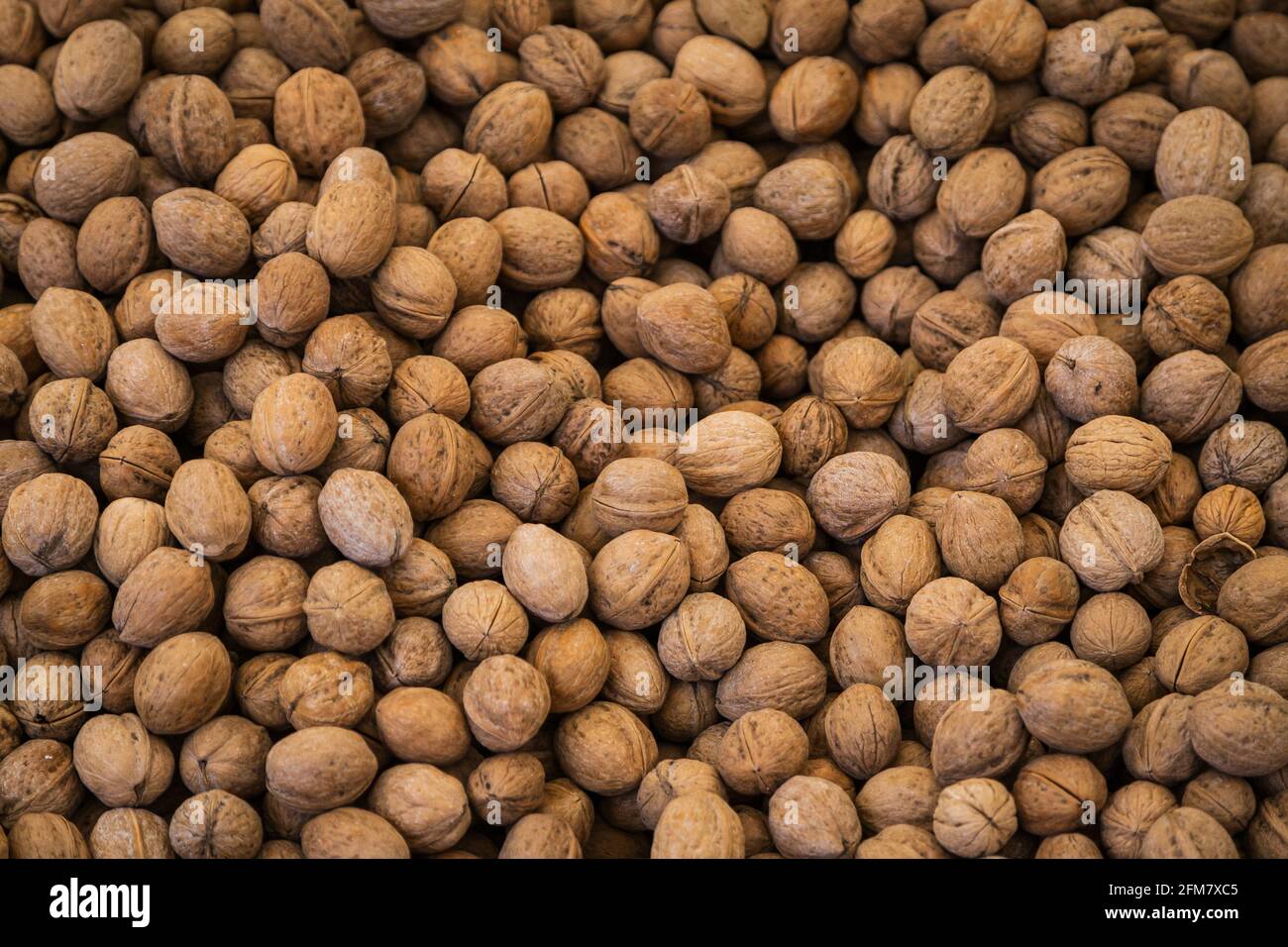 A pile of unpeeled walnuts. Raw fresh walnut with shell on a display ...