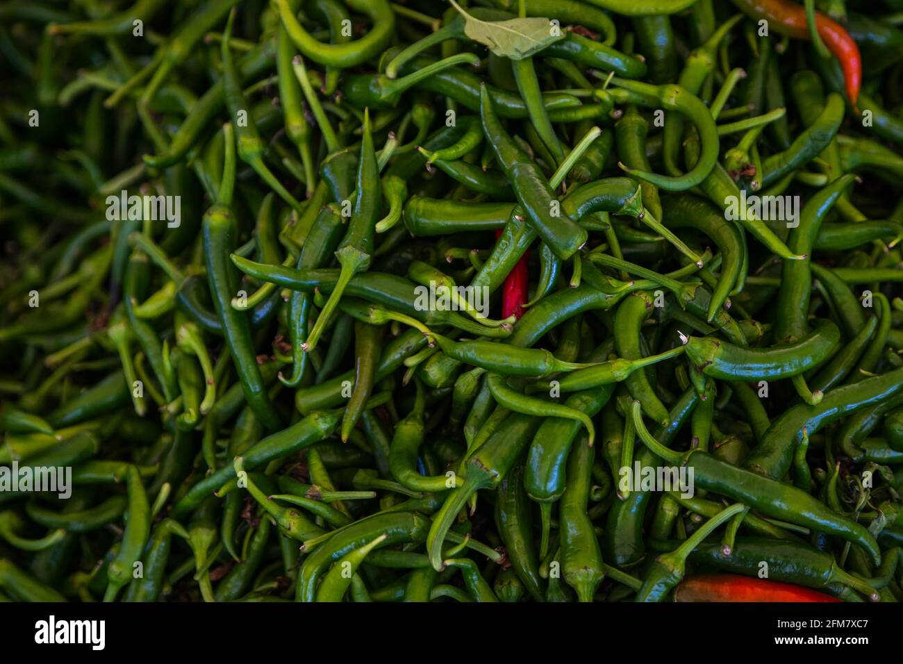 Close-up green vegetable for background, green pepper texture. Green ...