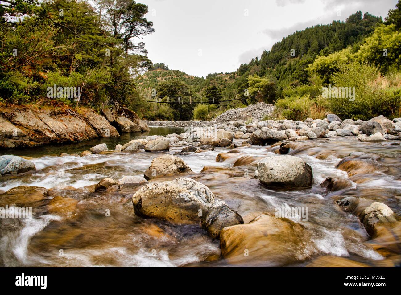 Fast flowing river rapids rushing past the boulders through the forest ...