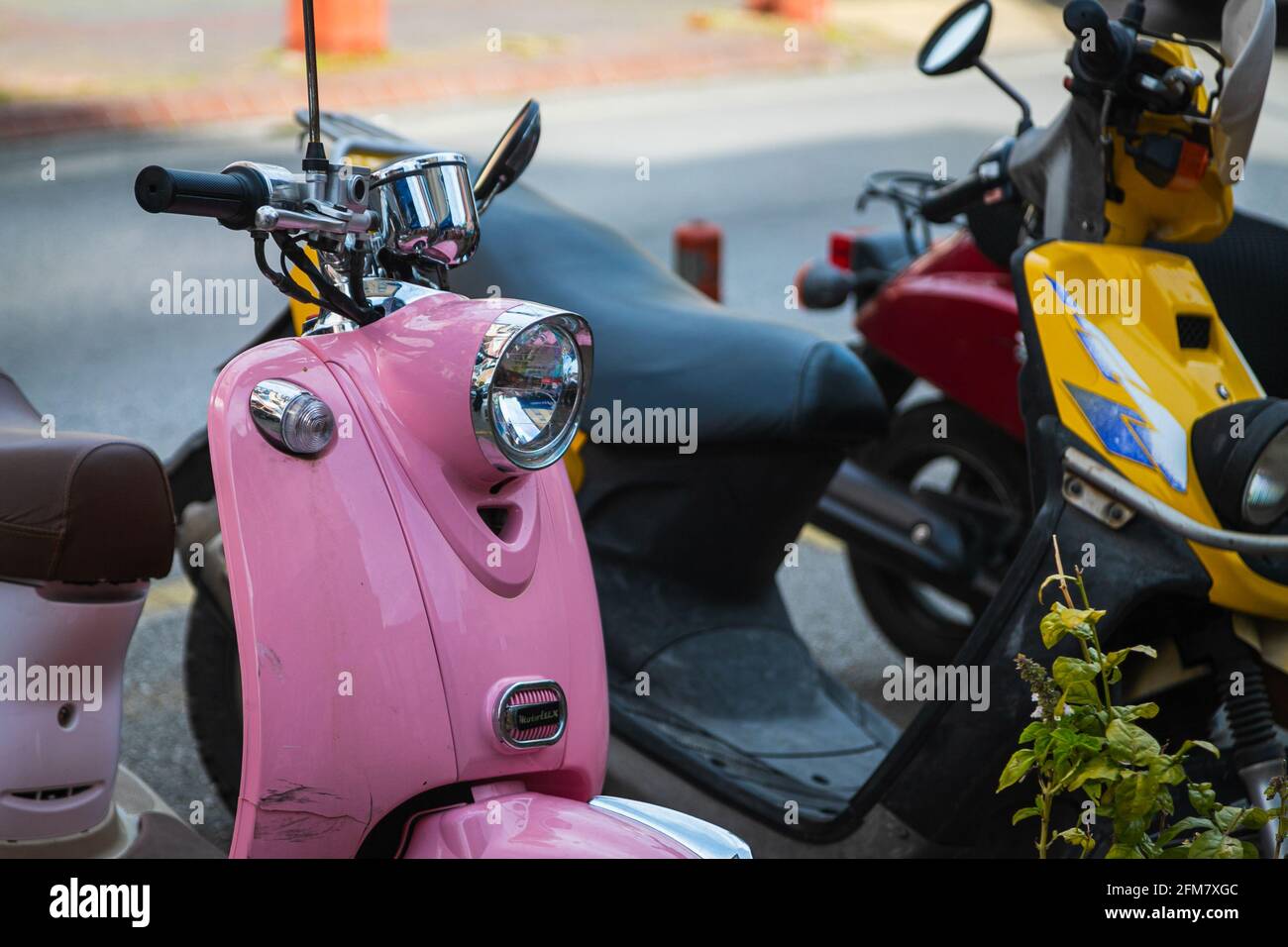 A vintage pink motorcycle, moped stands in a parking against the ...