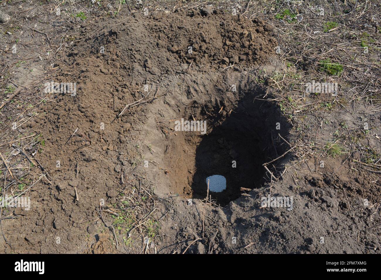 Planting trees: A large dug hole in soil with mineral phosphorus (P ...