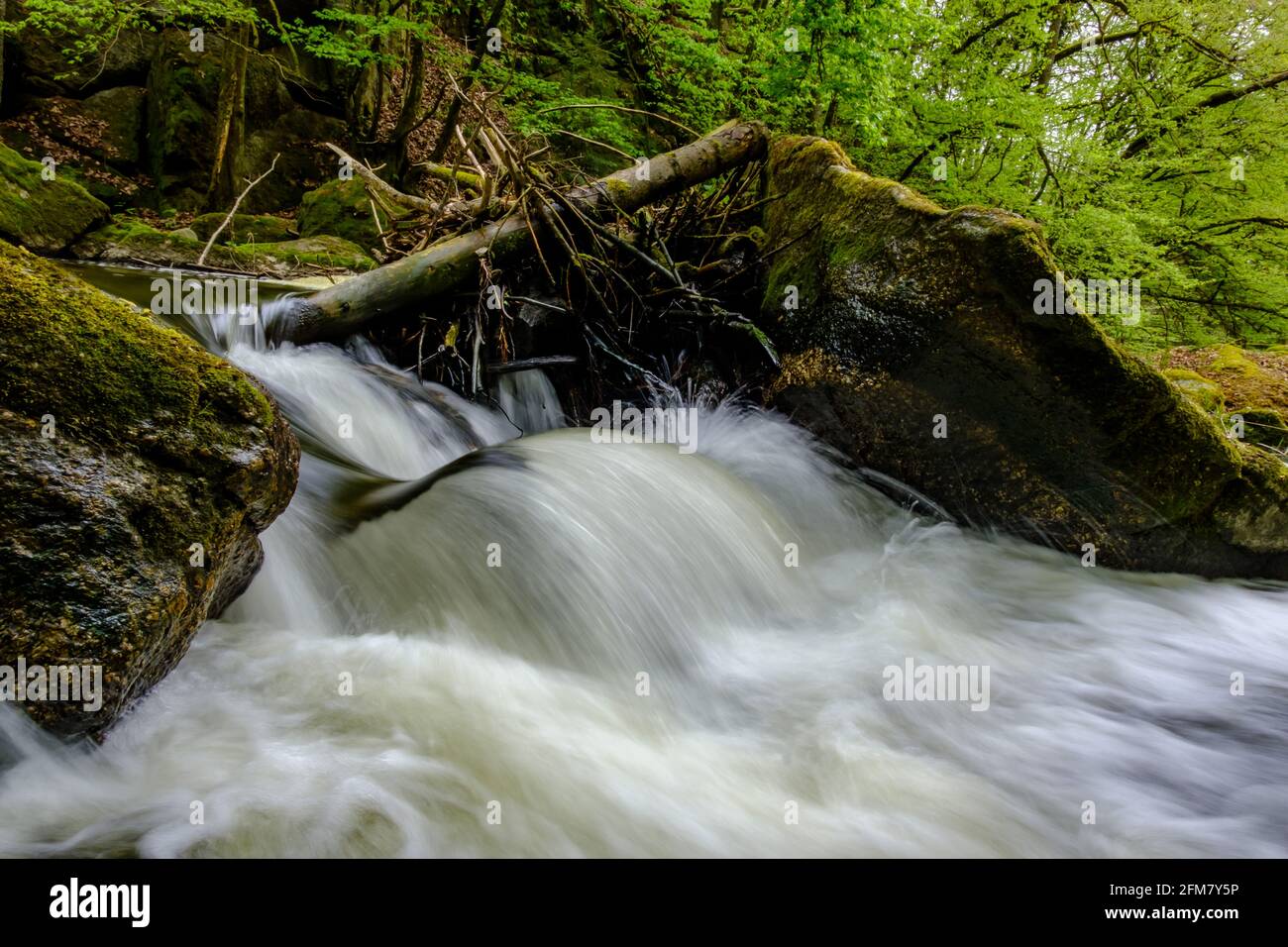cascade on the river aist in the valley aisttal in the upper austrian ...