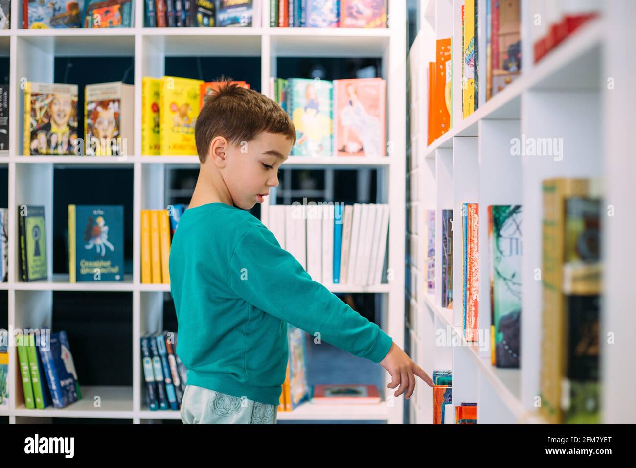 A little boy reaches for shelf of children's books in the bookstore ...