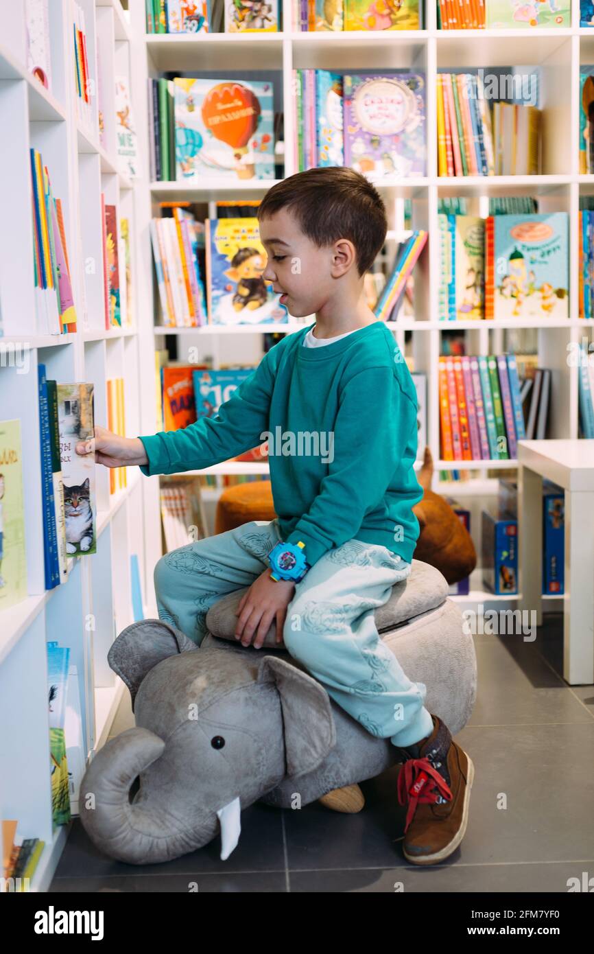 A little boy reaches for shelf of children's books in the bookstore ...