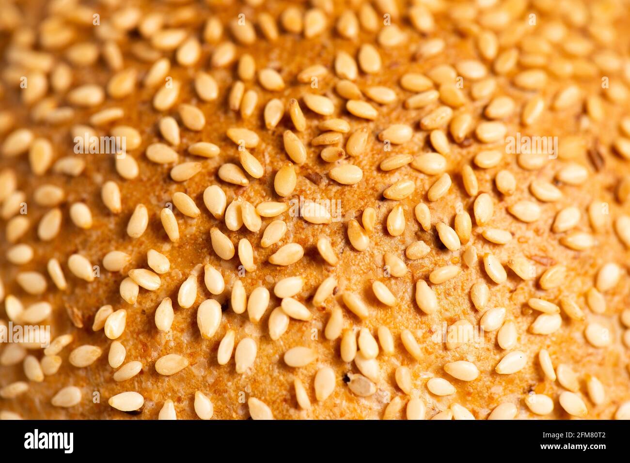 Freshly baked wholemeal bread roll with sesame seeds Stock Photo - Alamy