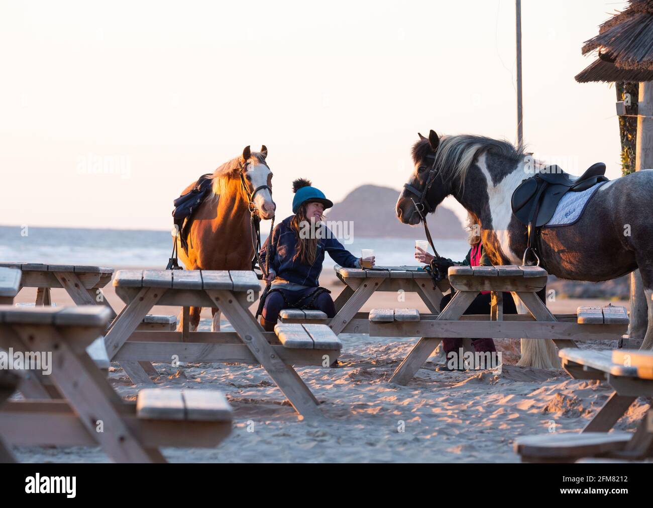 Watering hole bar perranporth hi-res stock photography and images - Alamy