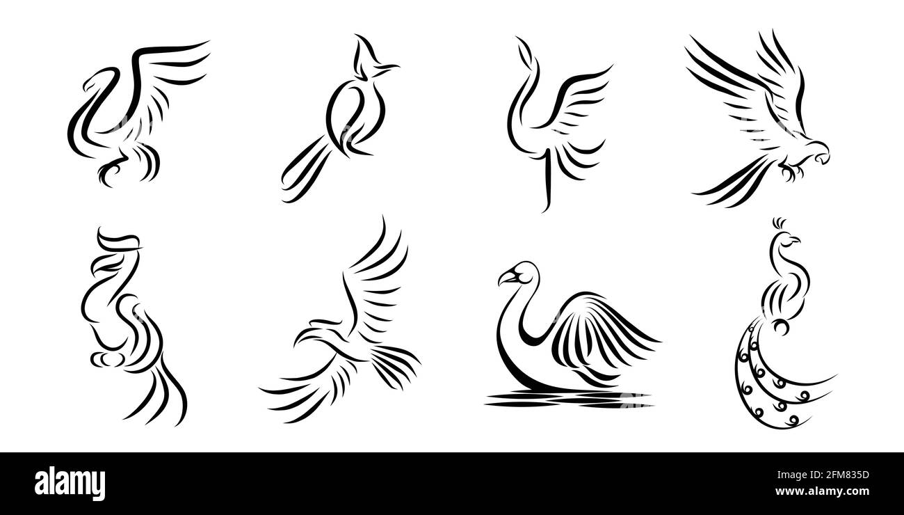 Set of eight vector images of different birds. Line drawing Can be used ...