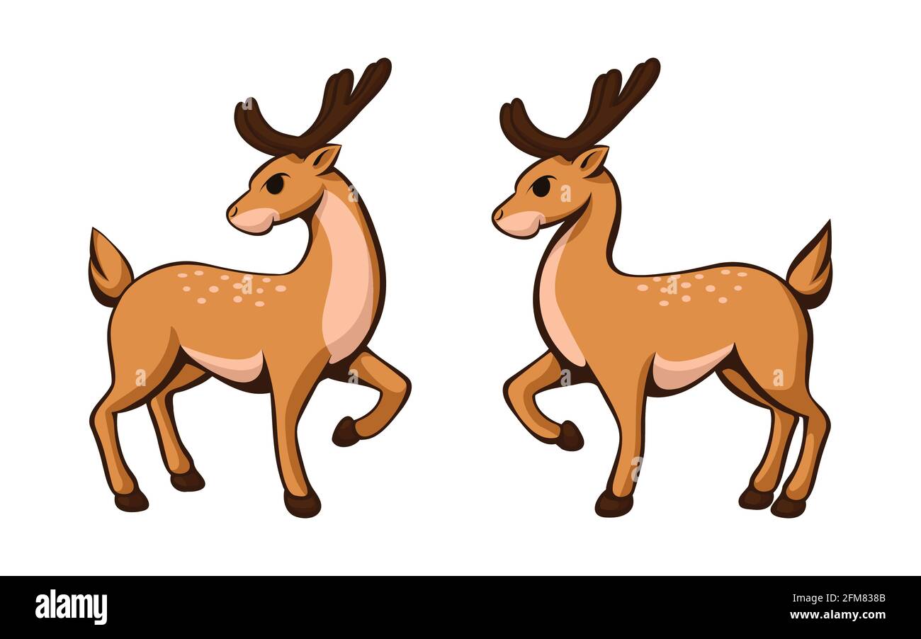 Vector illustration cartoon on a white background of two cute deer ...