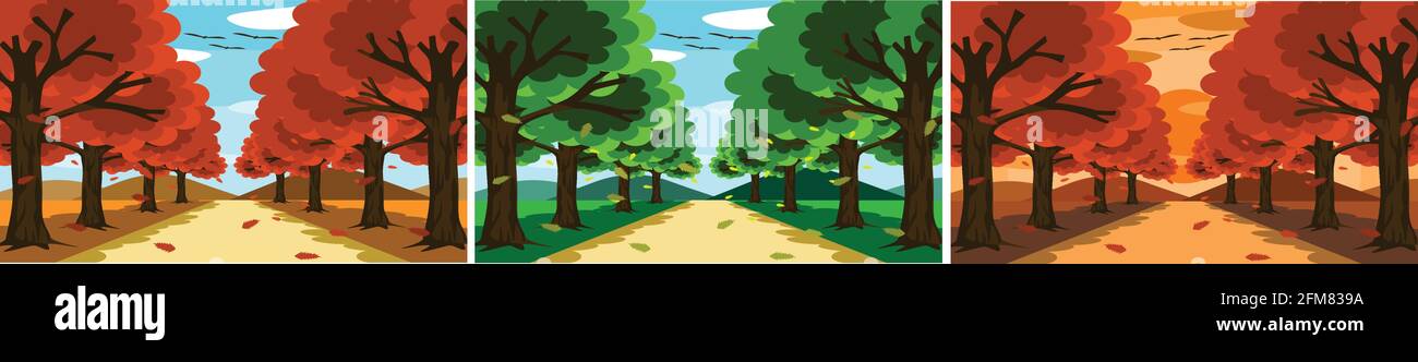 Beautiful road trees on both sides Stock Vector Images - Alamy