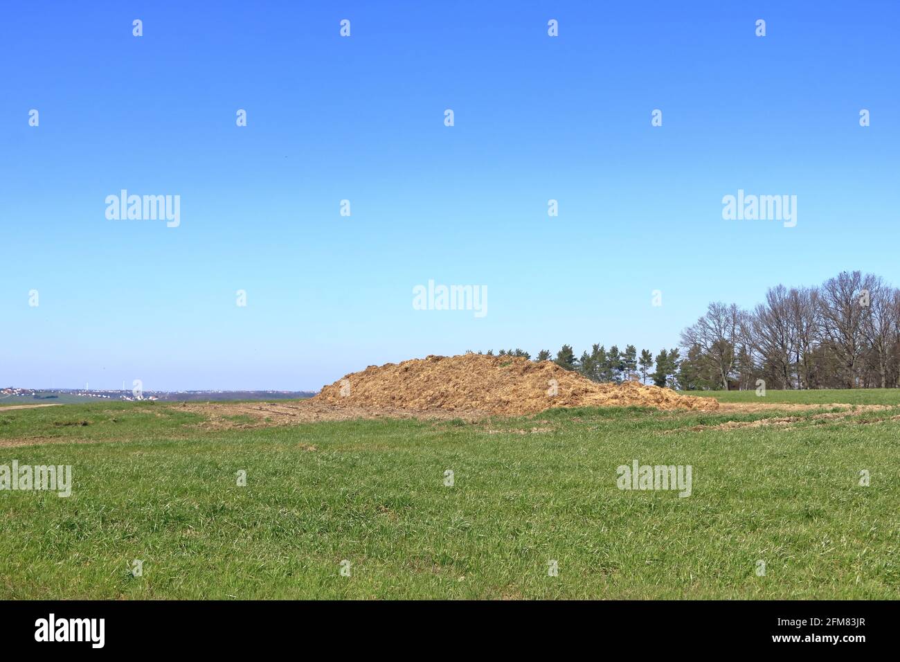 Natural dunghill on the land Stock Photo - Alamy