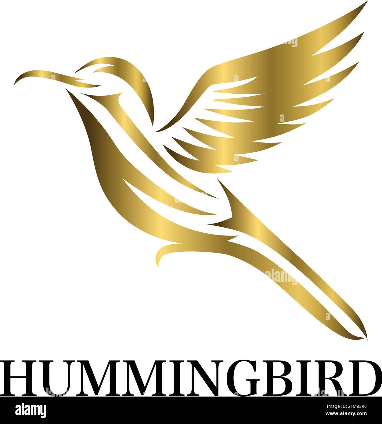Golden Vector illustration on a white background of flying hummingbird ...