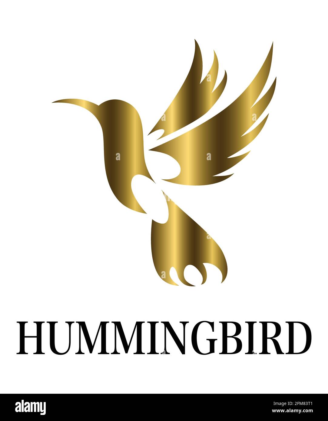 Golden Vector illustration on a white background of flying hummingbird ...