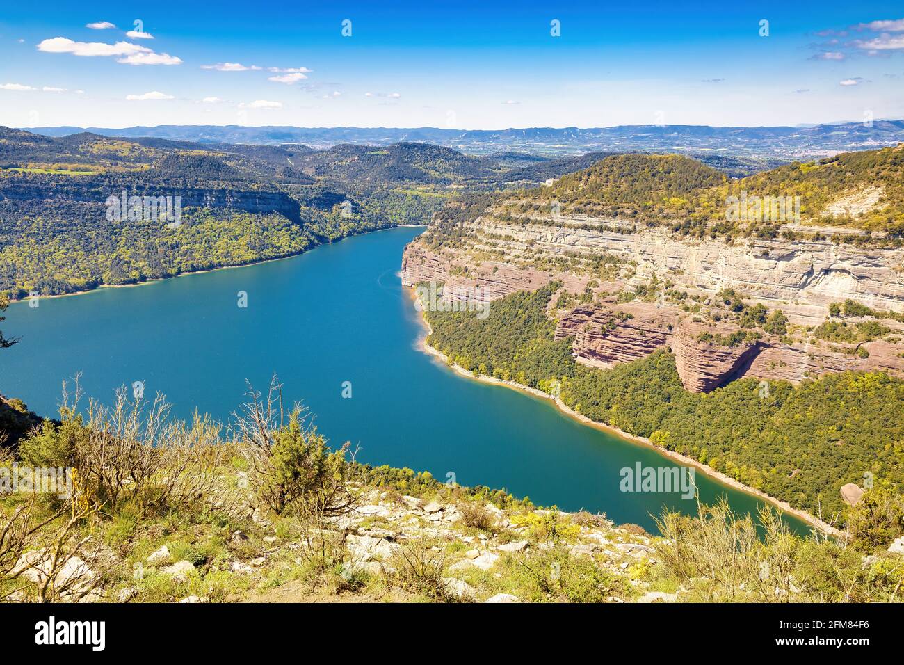 Swamp de sau hi-res stock photography and images - Alamy