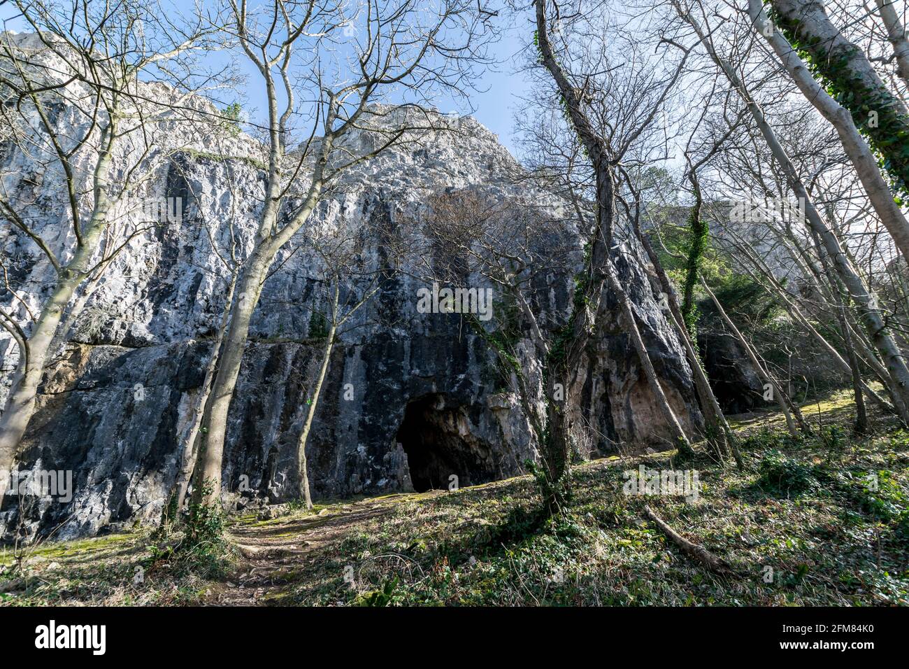 The hillside of Cefn-yr-Ogof or back of the cave at Llanddulas on the ...