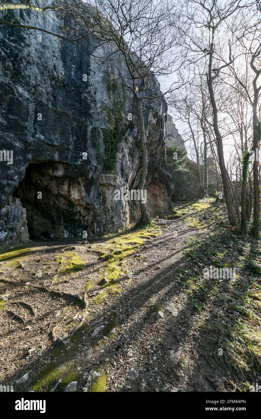 The hillside of Cefn-yr-Ogof or back of the cave at Llanddulas on the ...