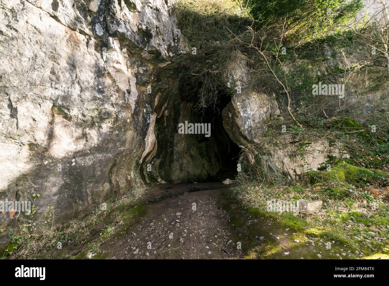 The hillside of Cefn-yr-Ogof or back of the cave at Llanddulas on the ...