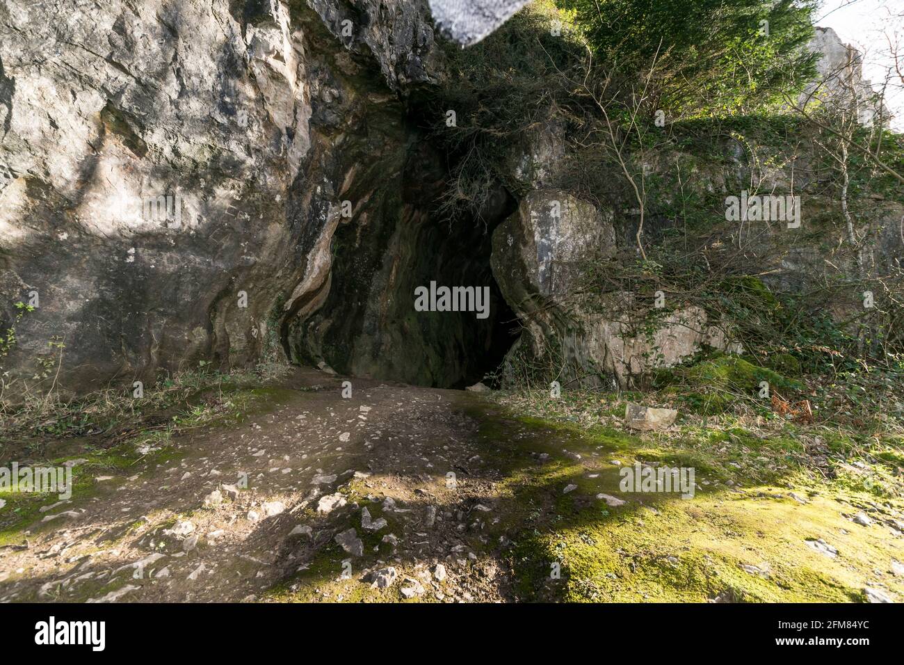 The hillside of Cefn-yr-Ogof or back of the cave at Llanddulas on the ...