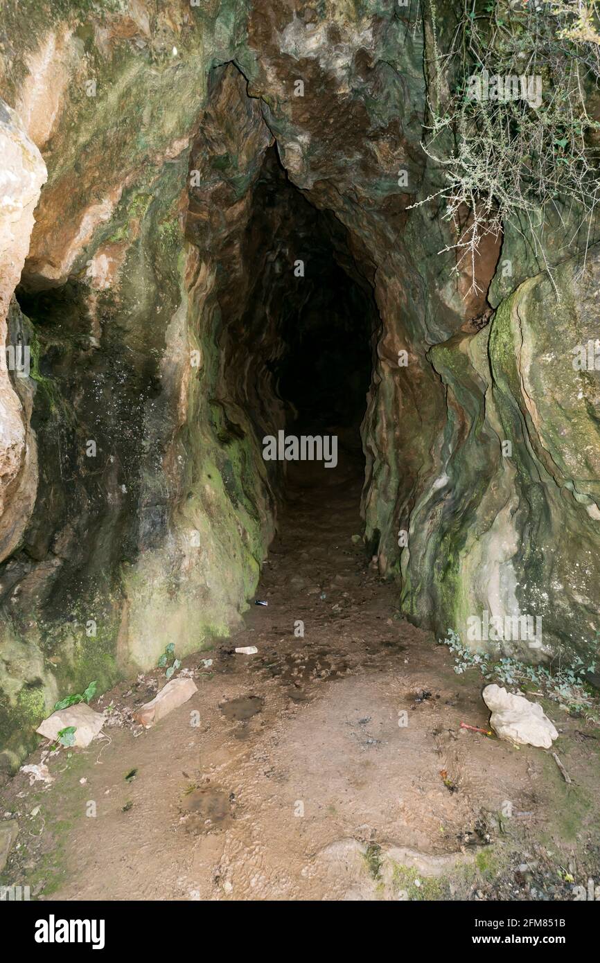 The hillside of Cefn-yr-Ogof or back of the cave at Llanddulas on the ...