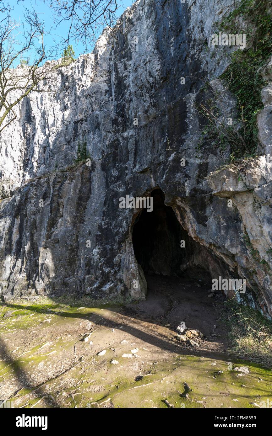The hillside of Cefn-yr-Ogof or back of the cave at Llanddulas on the ...